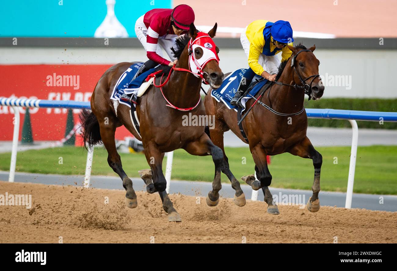 Meydan Racecourse, United Arab Emirates. Saturday 30th March 2024 ...