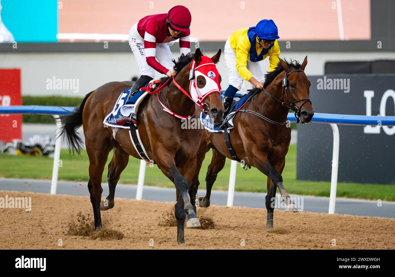 Meydan Racecourse, United Arab Emirates. Saturday 30th March 2024 ...