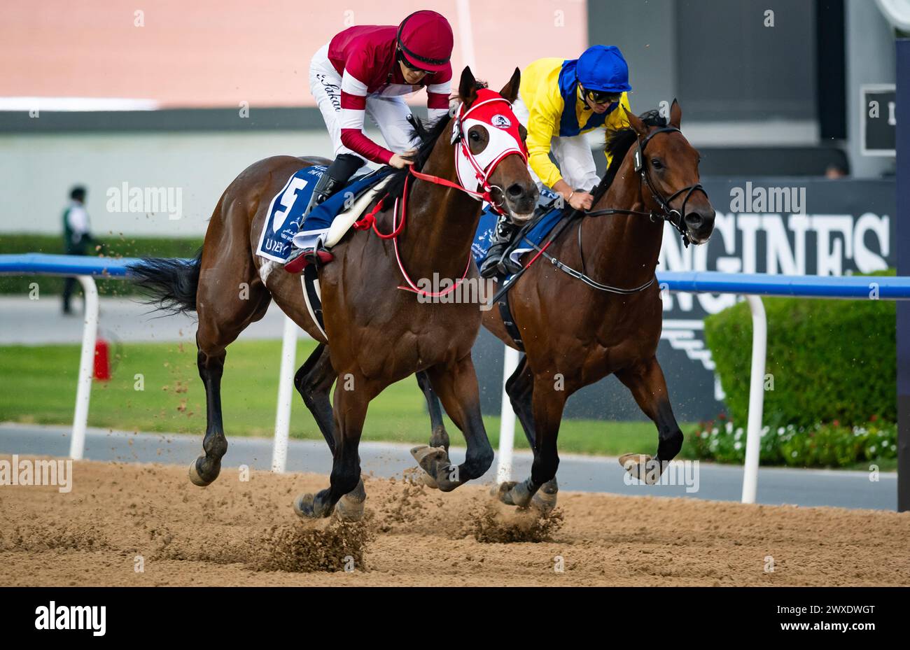 Meydan Racecourse, United Arab Emirates. Saturday 30th March 2024 ...