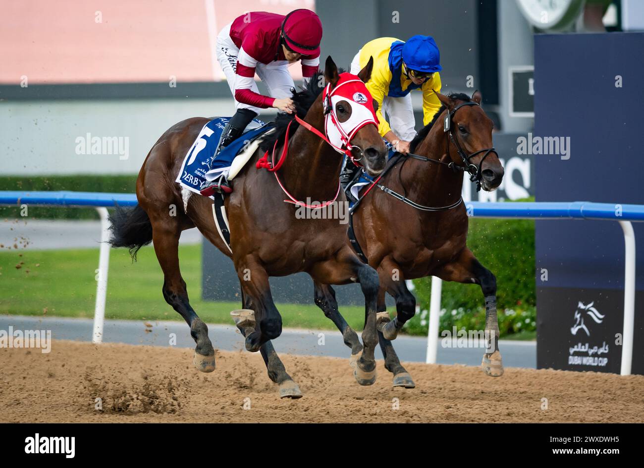 Meydan Racecourse, United Arab Emirates. Saturday 30th March 2024 ...