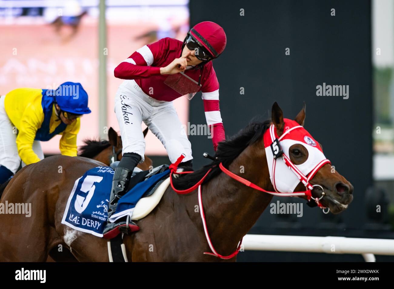 Meydan Racecourse, United Arab Emirates. Saturday 30th March 2024 ...