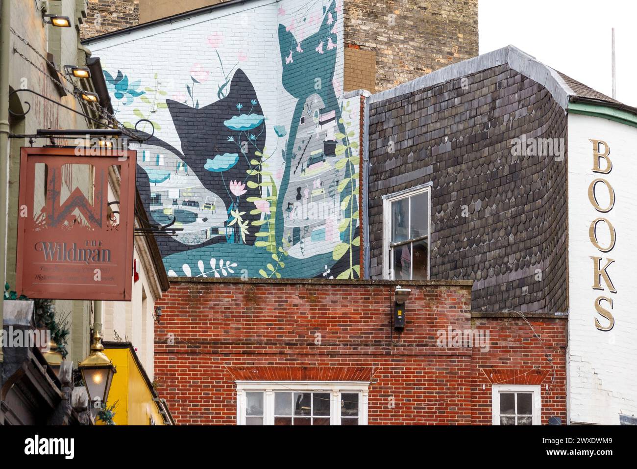 Cat mural hi-res stock photography and images - Alamy