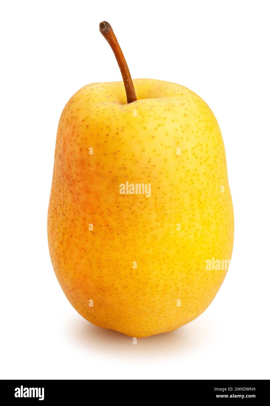 One yellow ripe pear Cut Out Stock Images & Pictures - Alamy