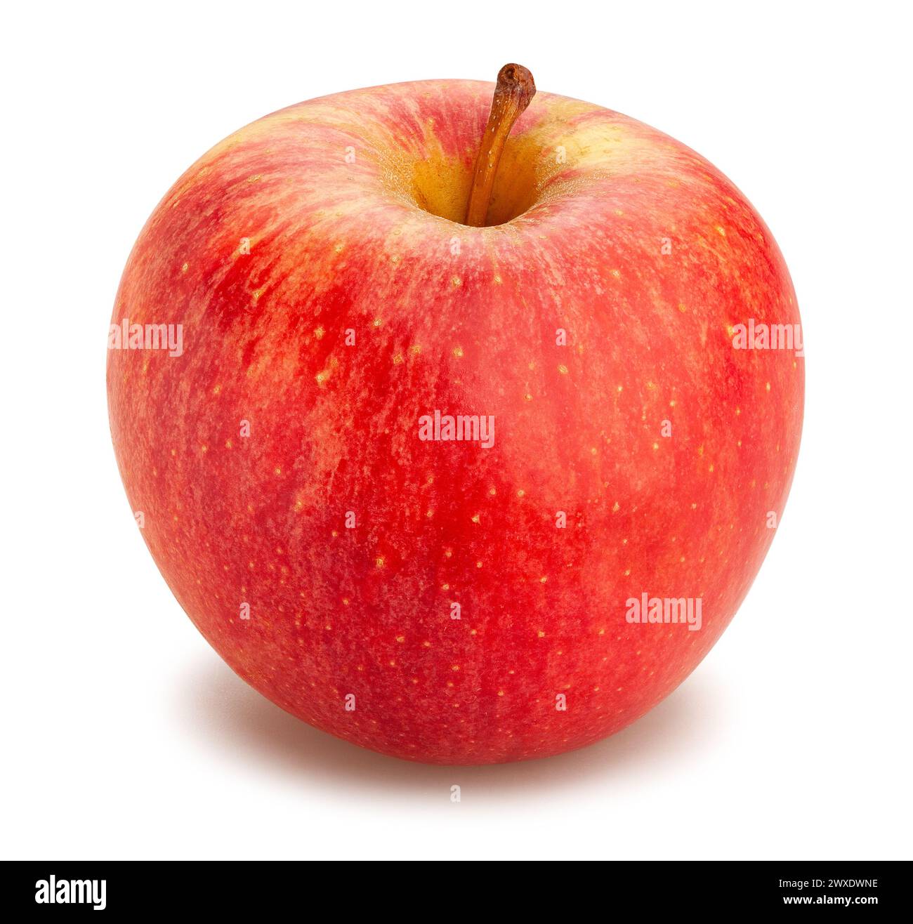 red apple path isolated on white Stock Photo - Alamy