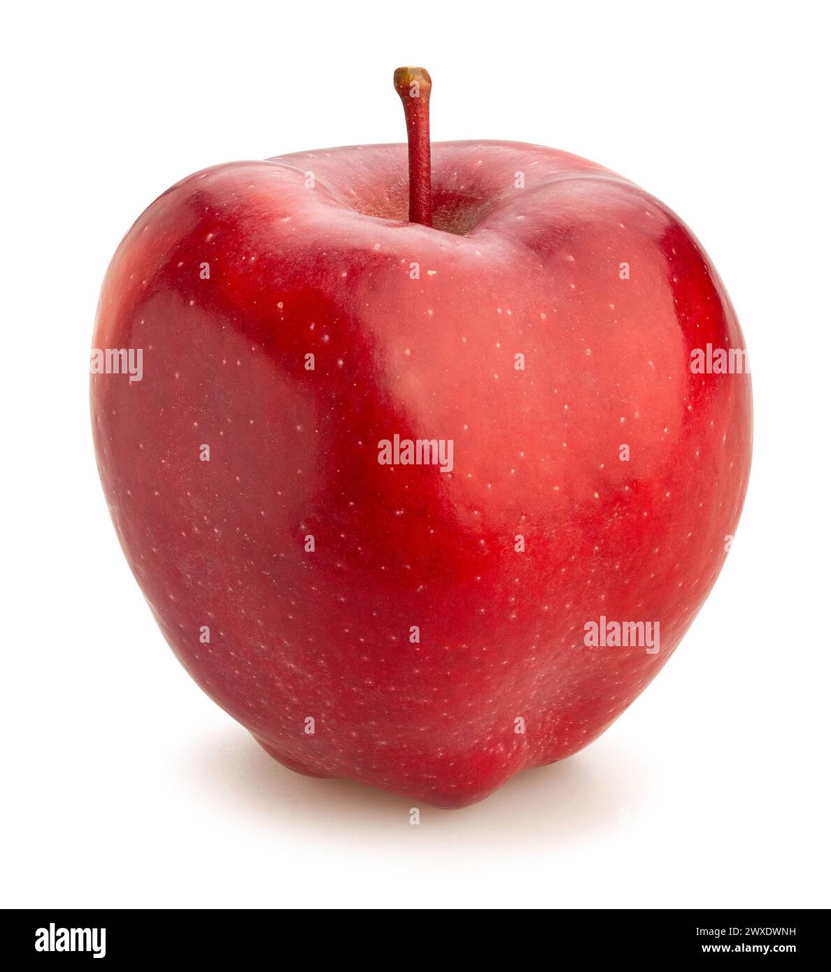 The delicious one hi-res stock photography and images - Alamy