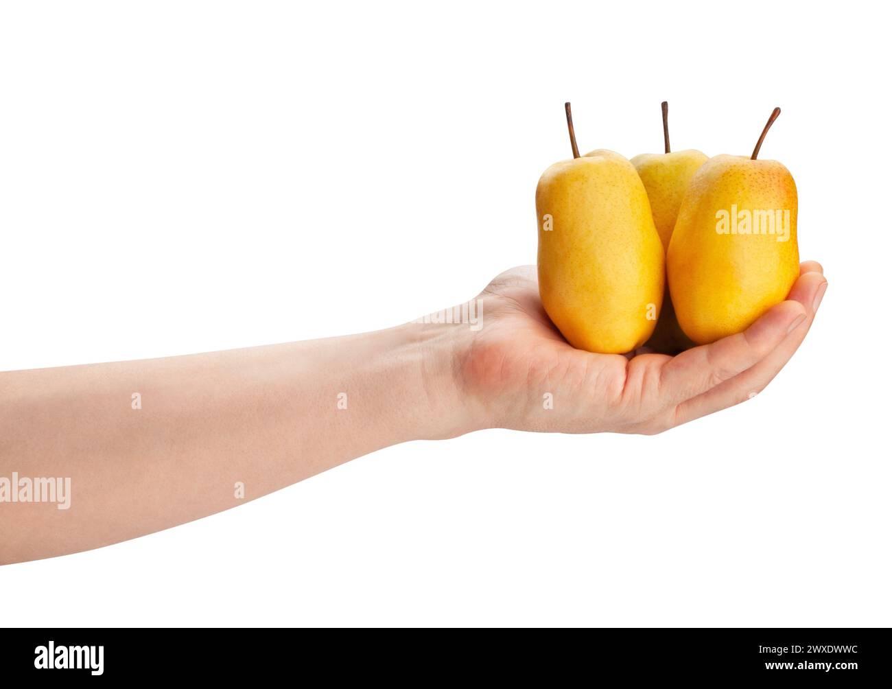 yellow pear in hand path isolated on white Stock Photo - Alamy