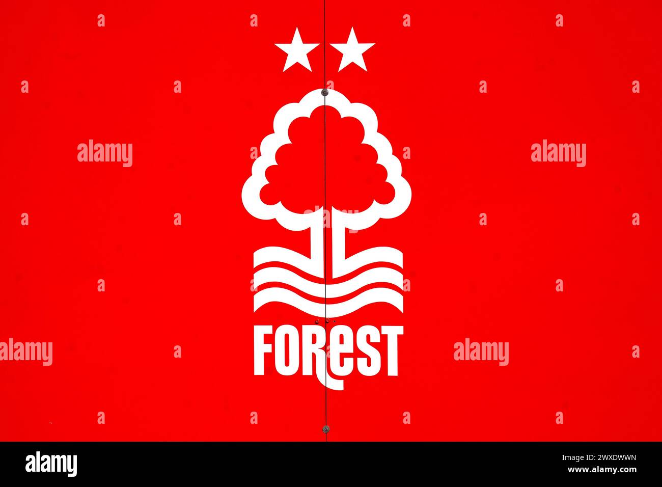 Nottingham Forest crest during the Premier League match at the City ...