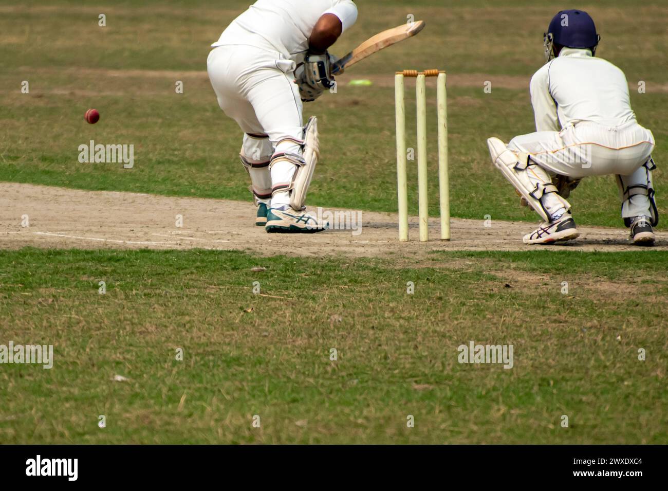 Cricket batsman is playing forward defensive stroke Stock Photo - Alamy