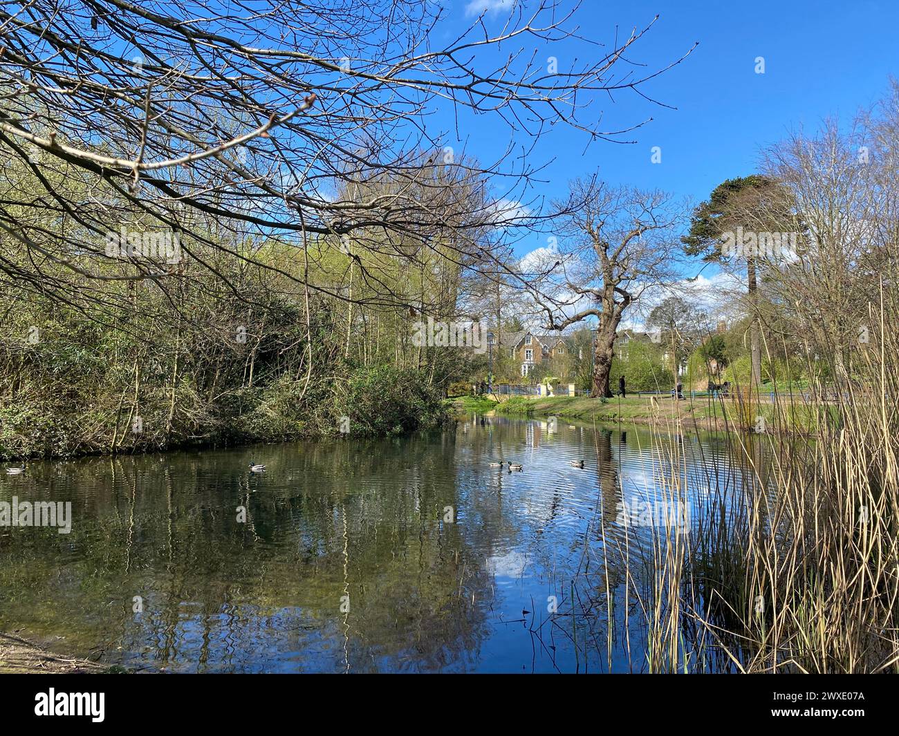 THE SUN FINALLY BREAKS THROUGH THE CLOUDS IN UK AND SIGNS OF SPRING ARE ...