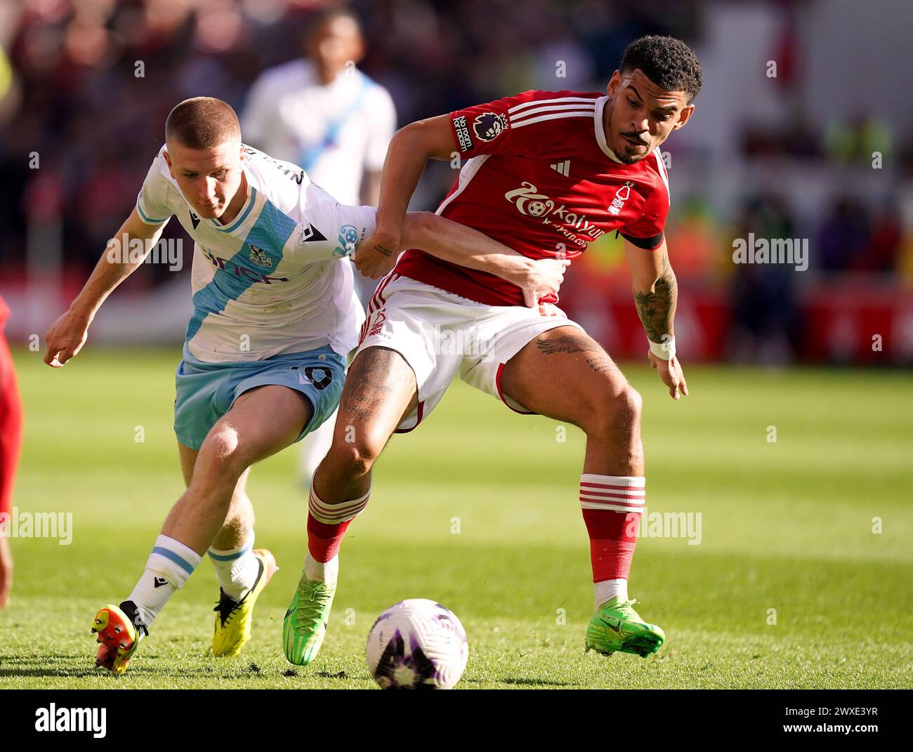 Crystal Palace's Adam Wharton and Nottingham Forest's Morgan Gibbs ...