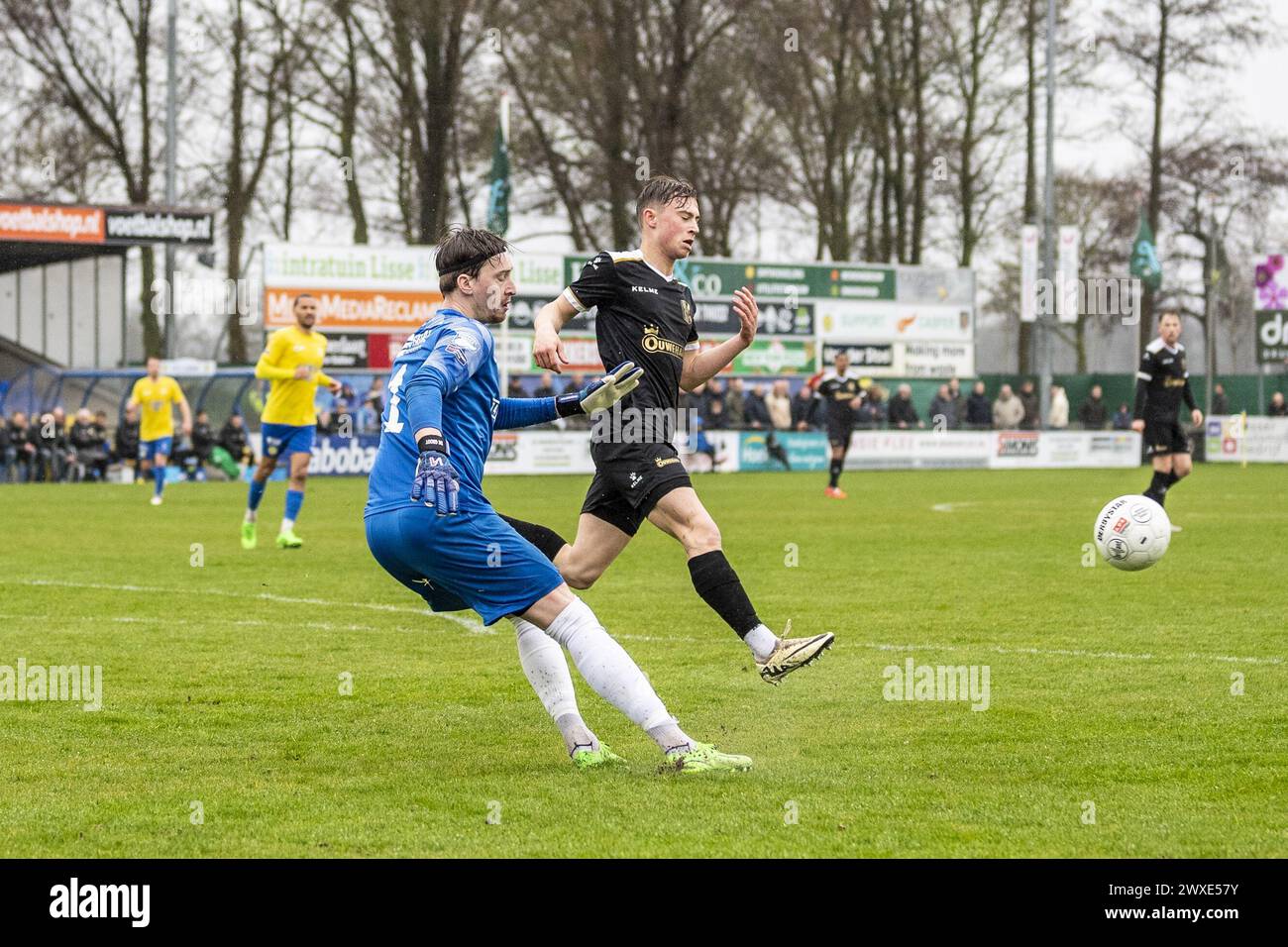 Lisse, Netherlands. 30th Mar, 2024. LISSE, 30-03-2024, Spekkelaan ...