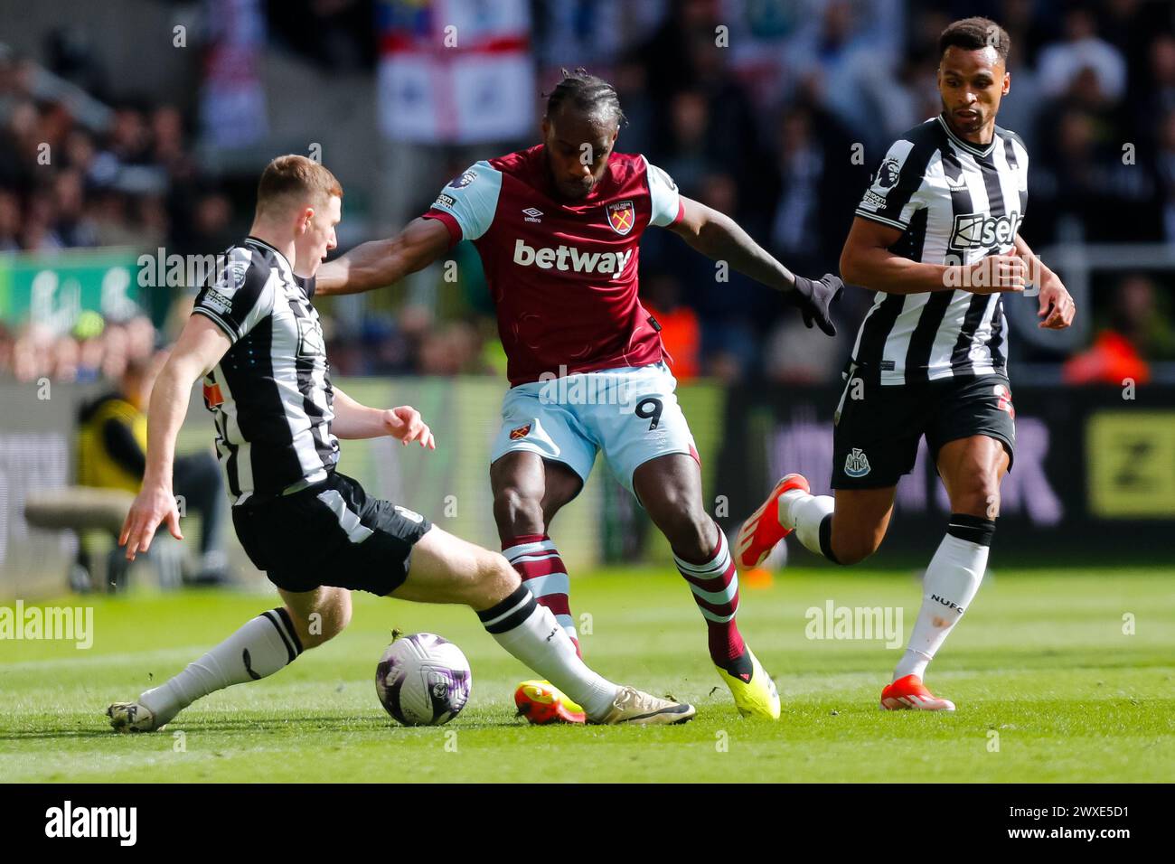 30th March 2024; St James' Park, Newcastle, England; Premier League ...