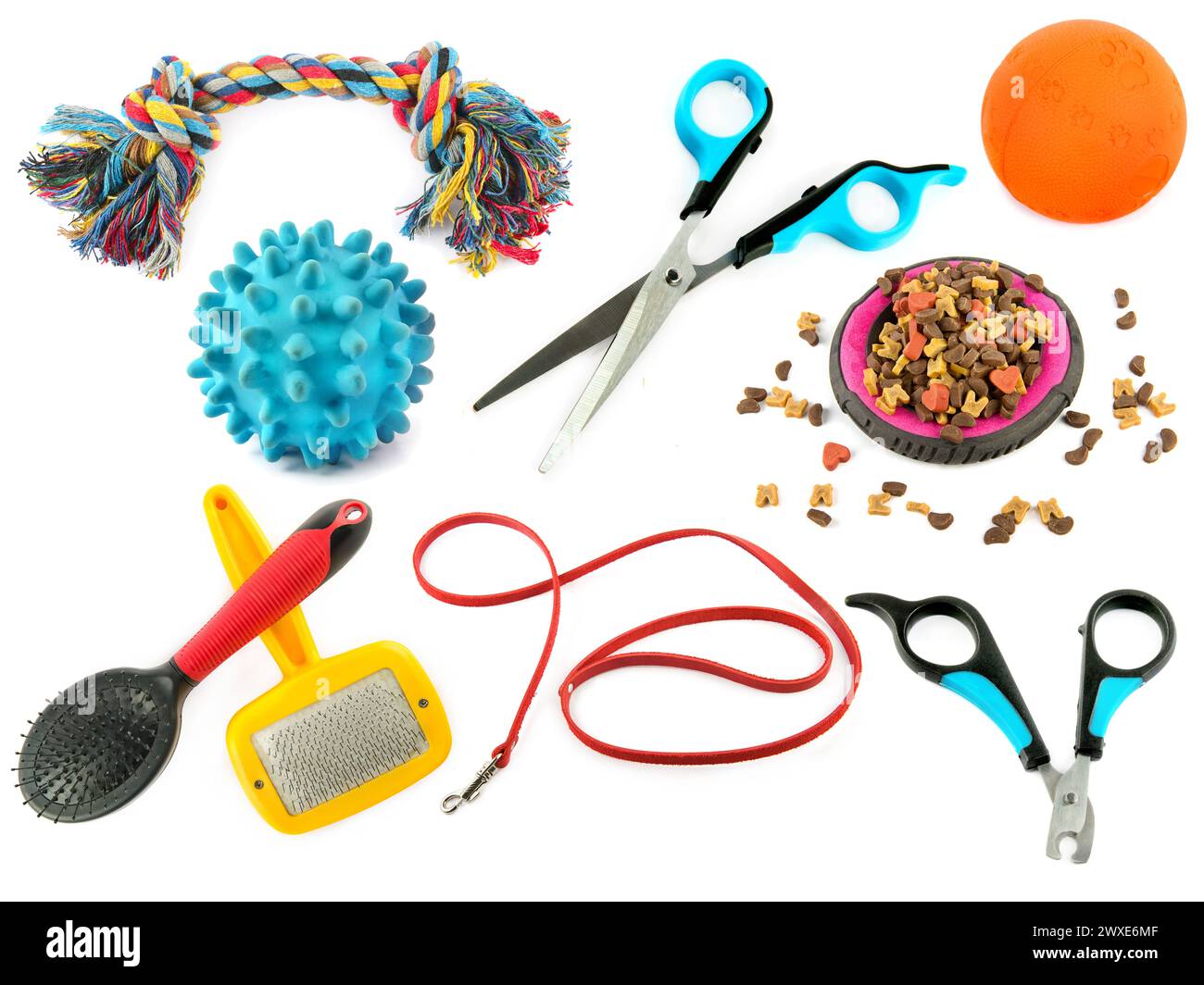 A set of toys, grooming items and other accessories for caring for ...