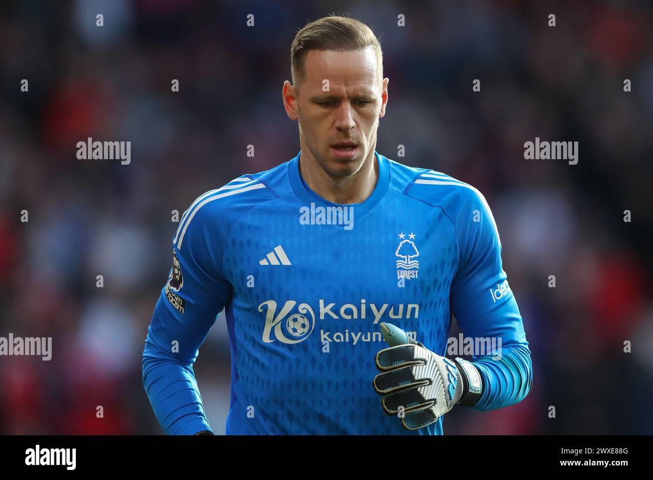Matz Sels of Nottingham Forest during the Premier League match ...
