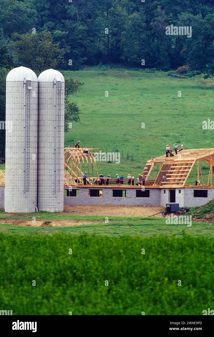 MEN WORKING AT A AMISH BARN RAISING NEAR STATE COLLEGE; PENNSYLVANIA ...