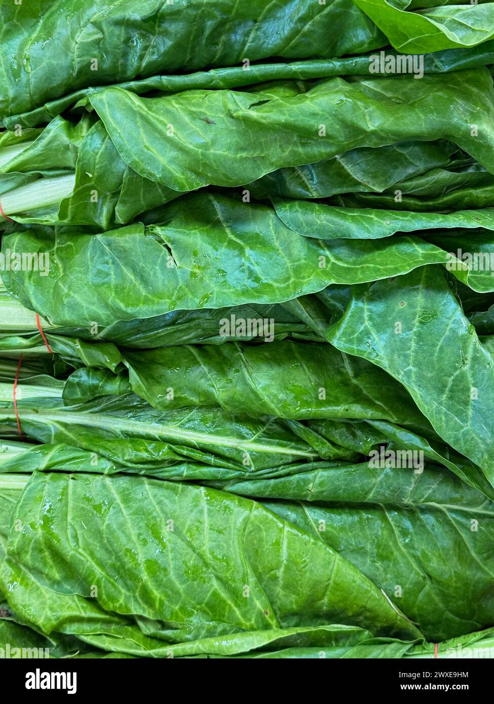 Close-up of fresh and healthy collard green at an outdoor market in ...