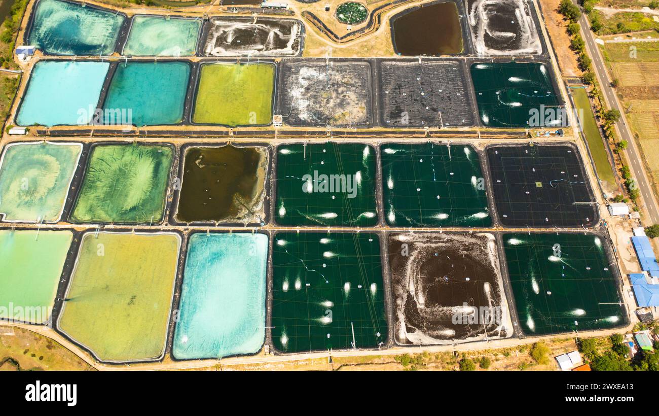 Top view of Pump ponds at a shrimp farm in the Philippines.Prawn farm ...