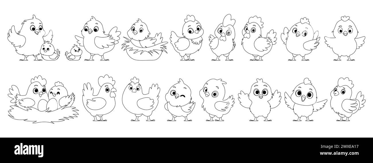 Large set of chicken family in lineart. Chickens, Hen hatches eggs ...