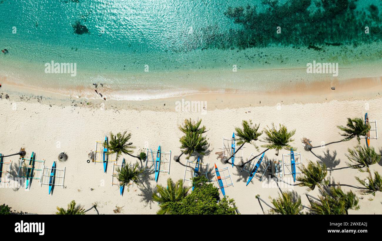 Aerial view of sandy beach with palm trees and sea surf with waves ...
