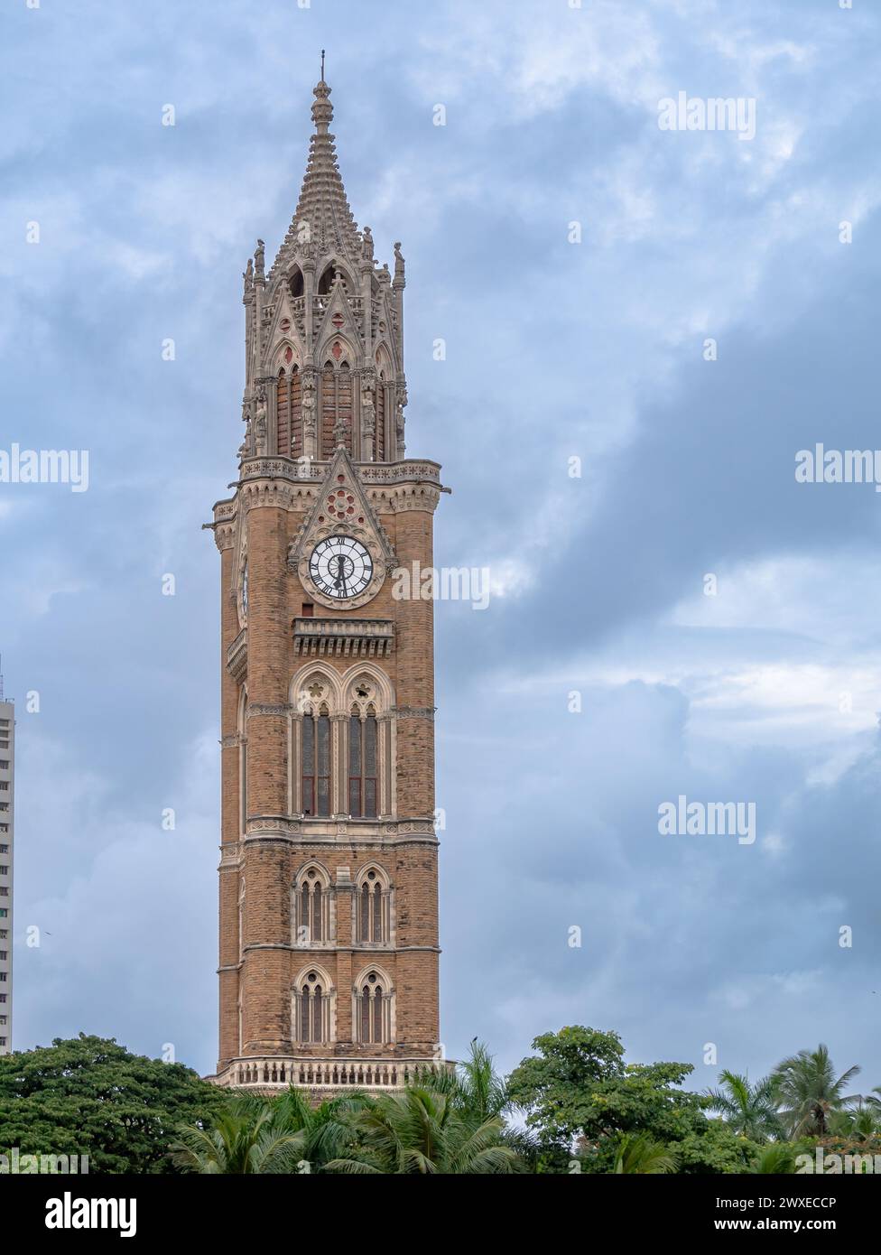 The University of Mumbai, informally known as Mumbai University ...