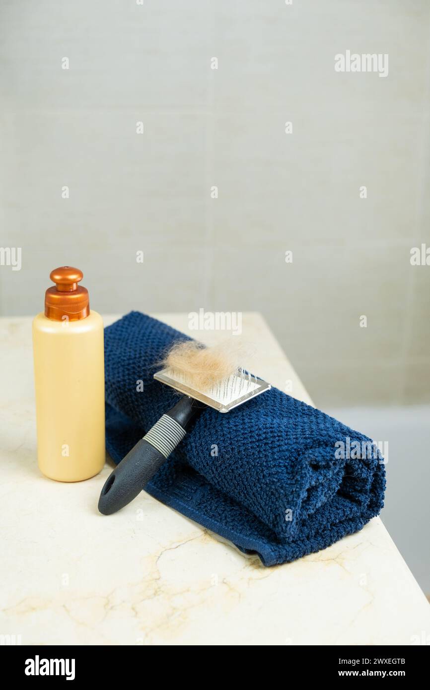 Detail of dog bath kit with shampoo, towel and brush in a bathroom. Pet ...