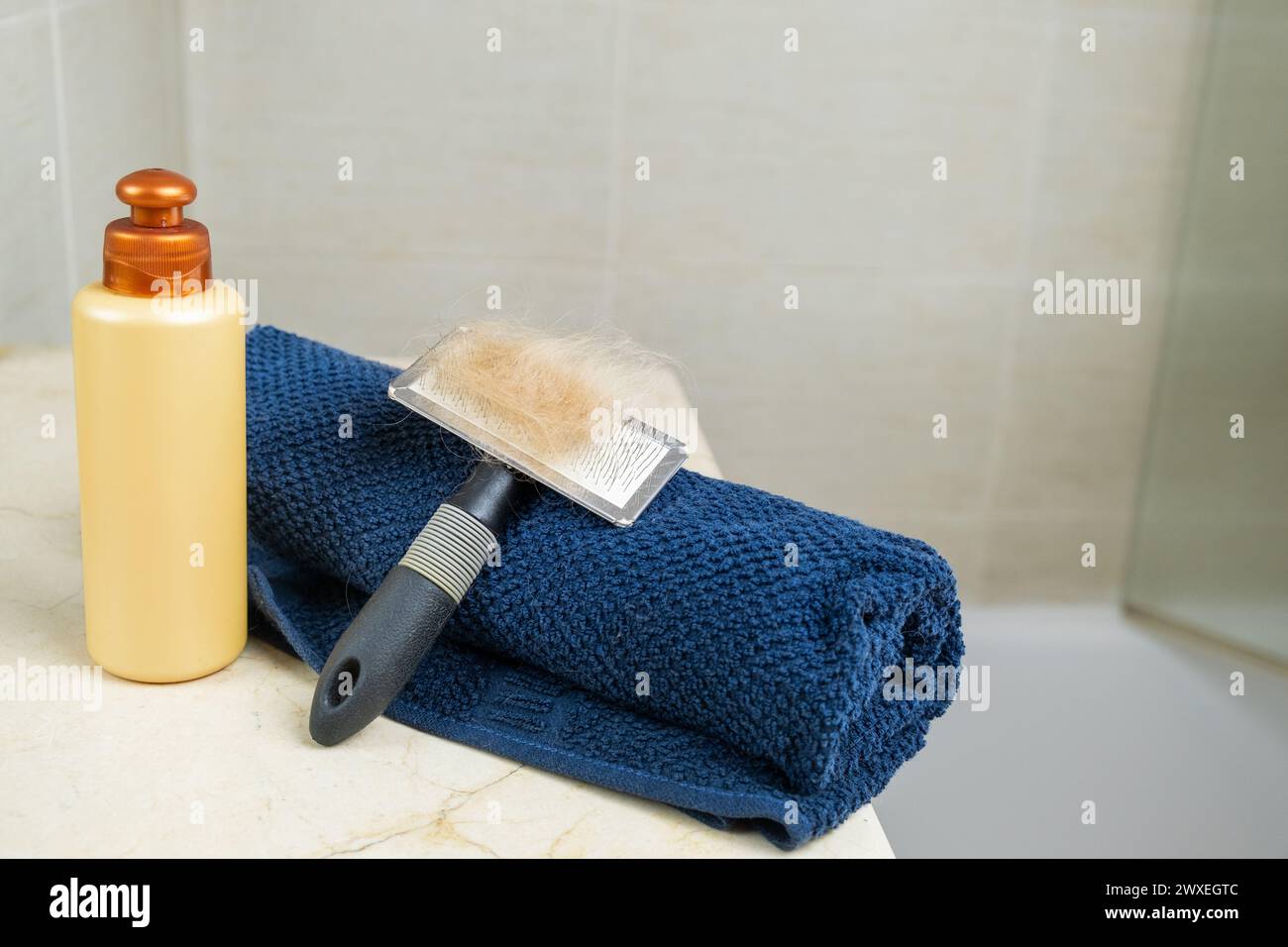 Detail of dog bath kit with shampoo, towel and brush in a bathroom. Pet ...