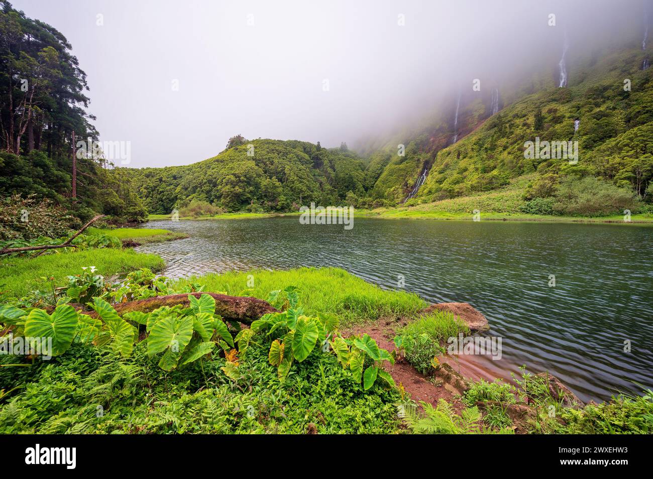 Azores scenic landscape, Flores island. Iconic lagoon with several ...