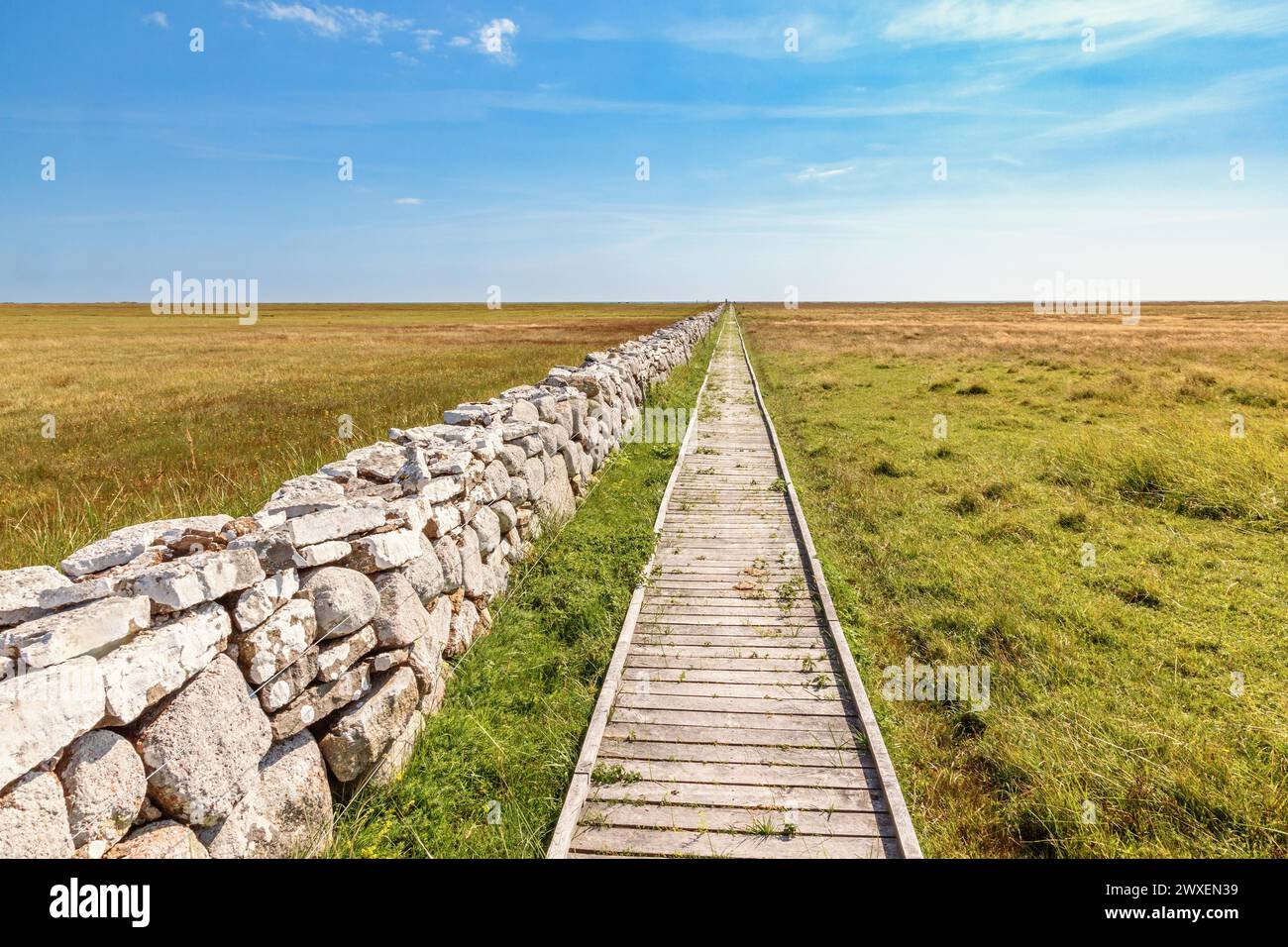 Long straight footpath by a stone wall over a moor to the horizon in a ...