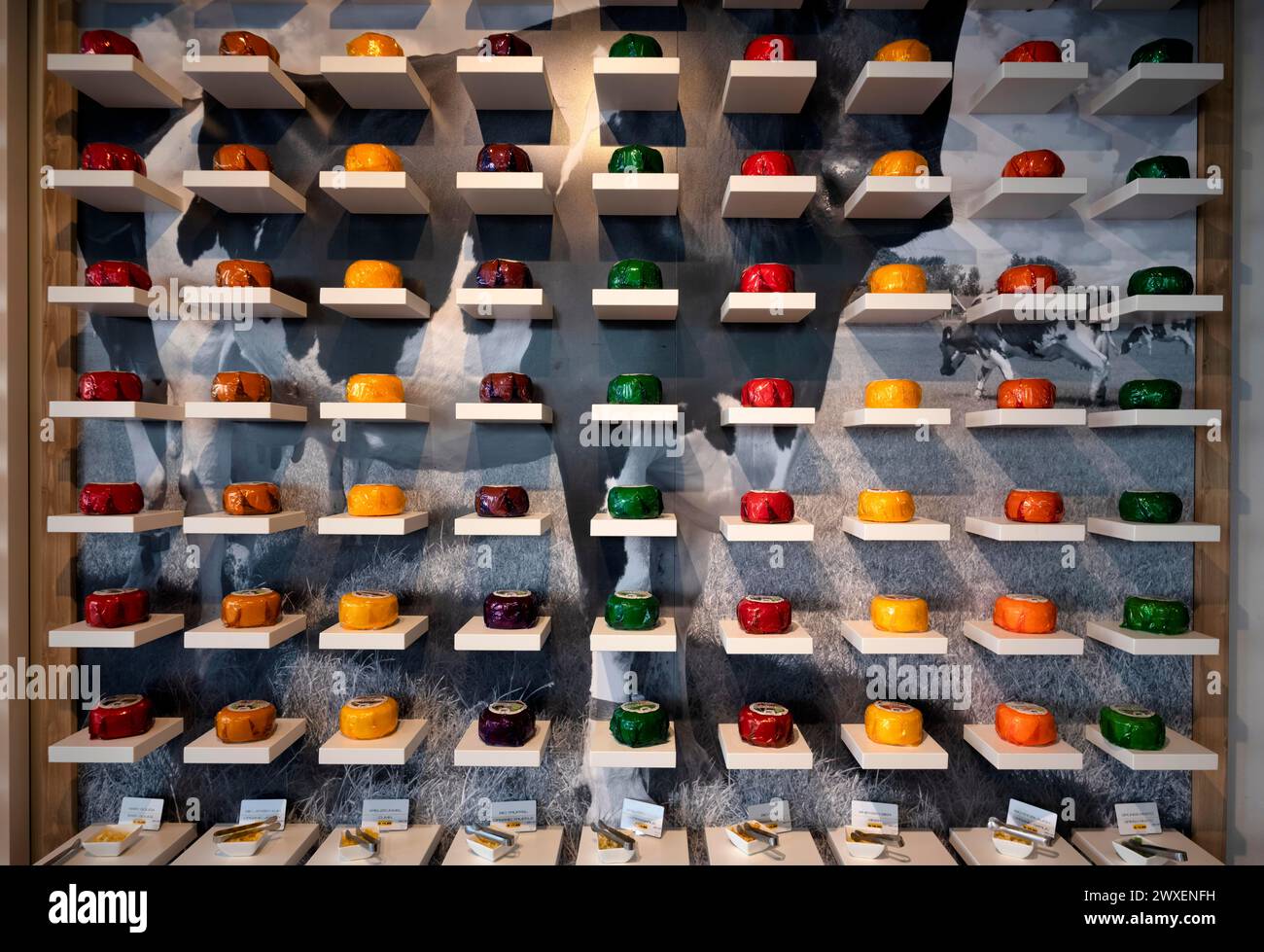Interior shot, different types of cheese, shelf, display, colourful ...
