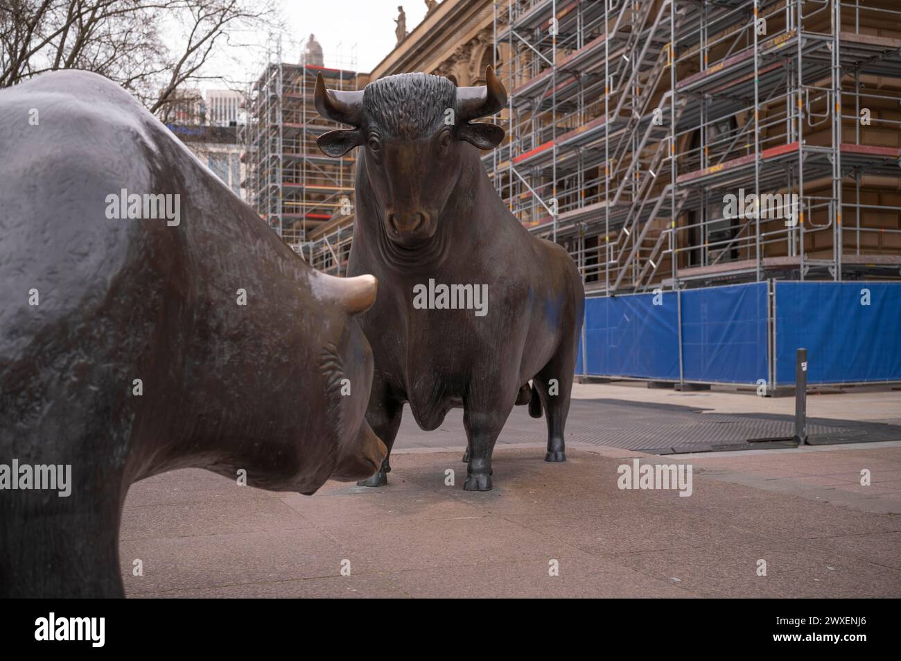 Bull and bear, sculptures by Reinhard Dachlauer, Boersennplatz, stock ...