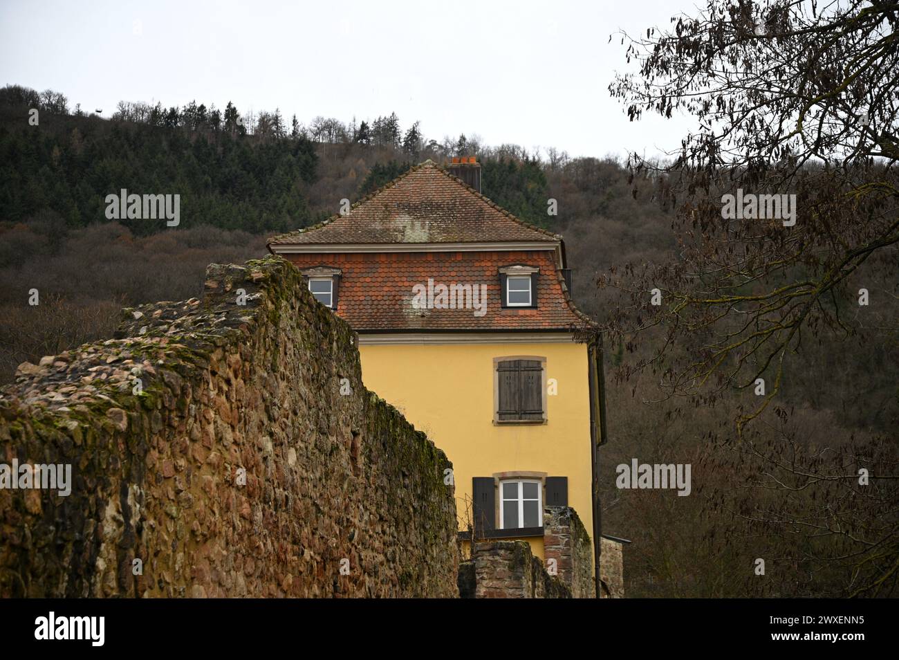 Landscape with scenic view of an old Alsatian rural farmhouse in the ...