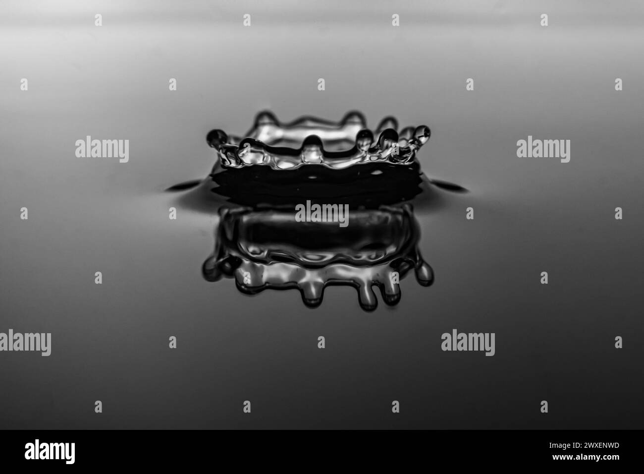 Splash of water in a crown shape Stock Photo - Alamy
