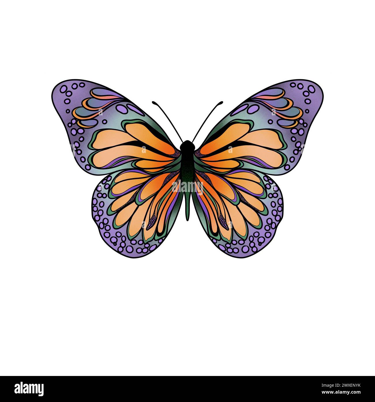 Colored butterfly on isolated white background. Layout for printing ...
