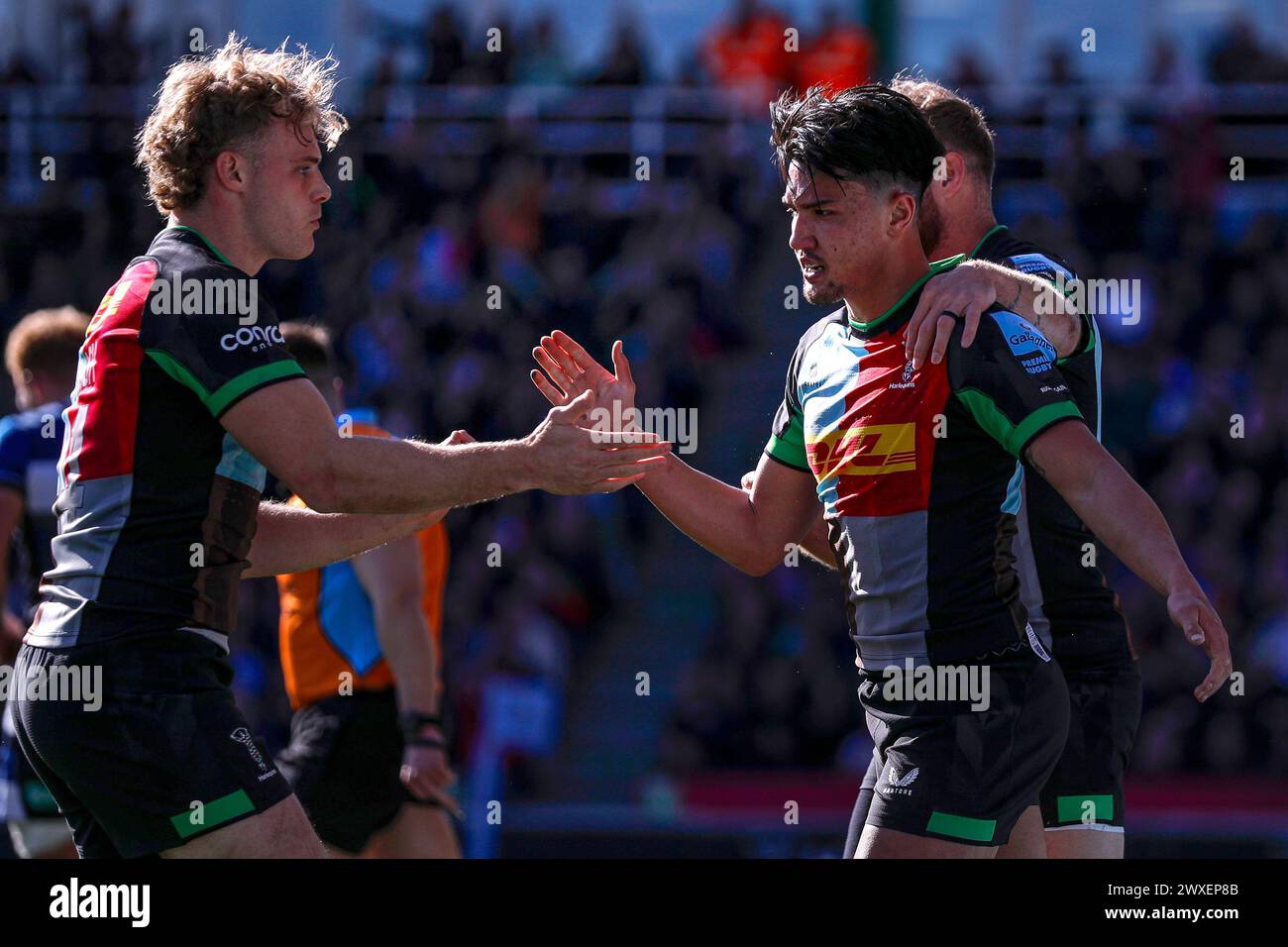 Harlequins rugby lynagh green hi-res stock photography and images - Alamy