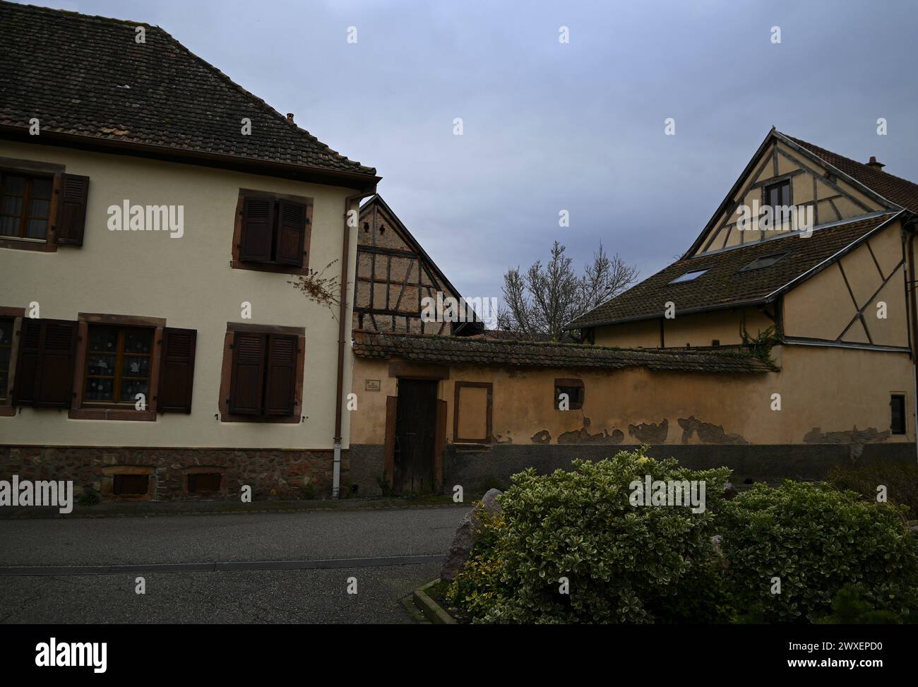 Rural landscape with scenic view of Alsatian half-timbered houses in ...