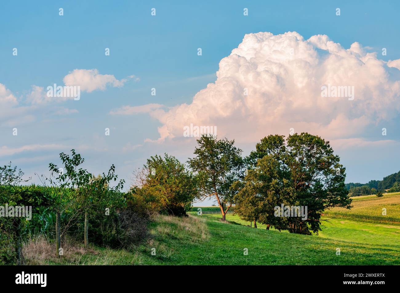 An August Day on a Pennsylvania Farm USA Stock Photo - Alamy