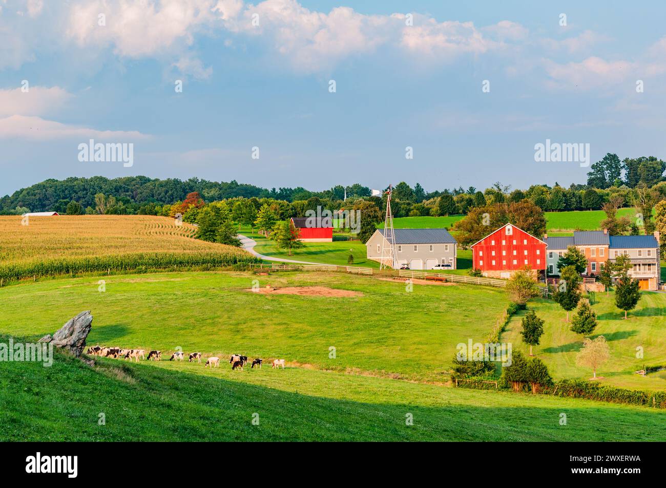 Pennsylvania farm fields corn hi-res stock photography and images - Alamy