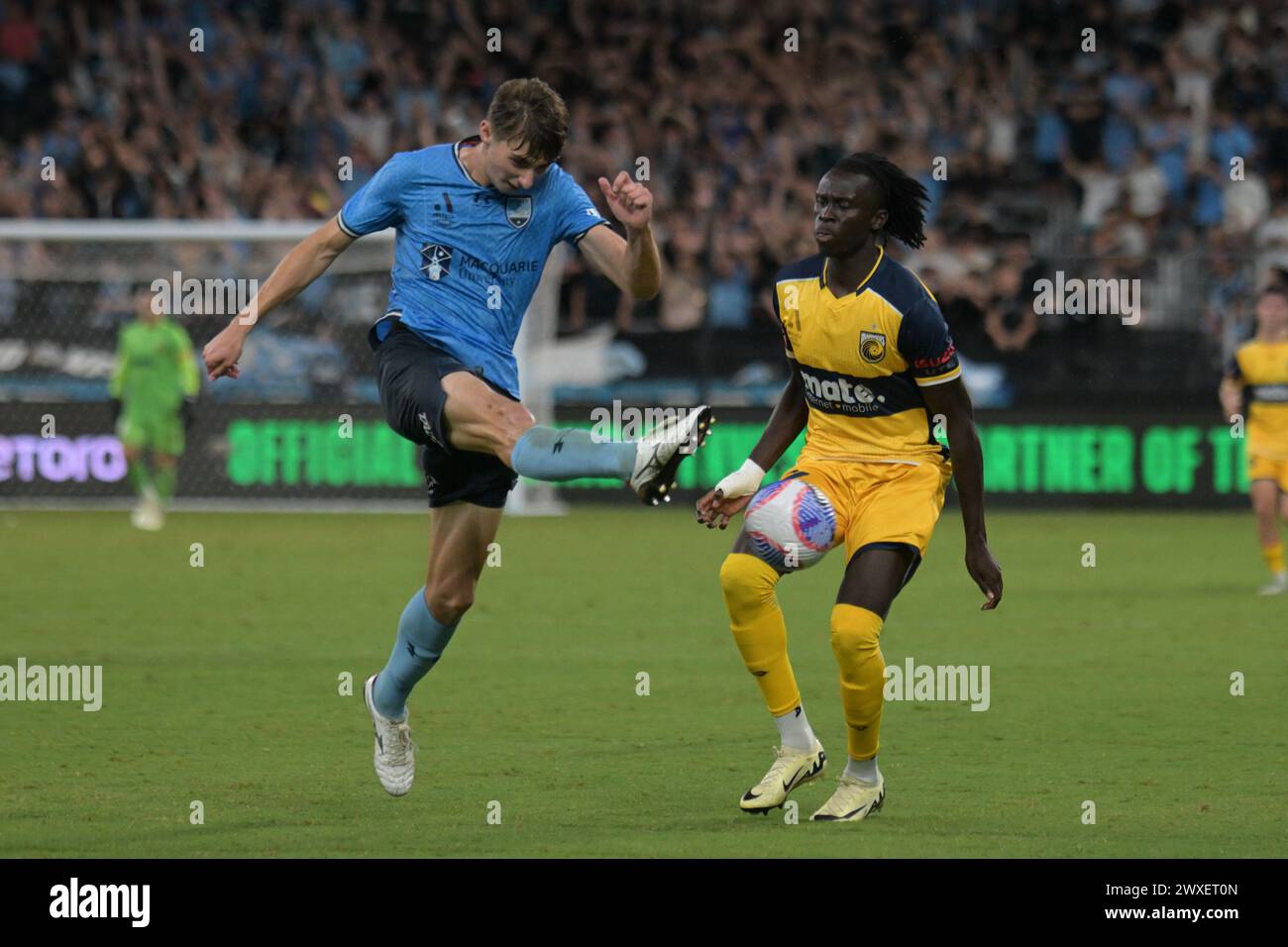 Jing reec hi-res stock photography and images - Alamy