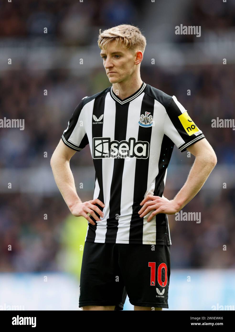 Newcastle United's Anthony Gordon during the Premier League match at St ...