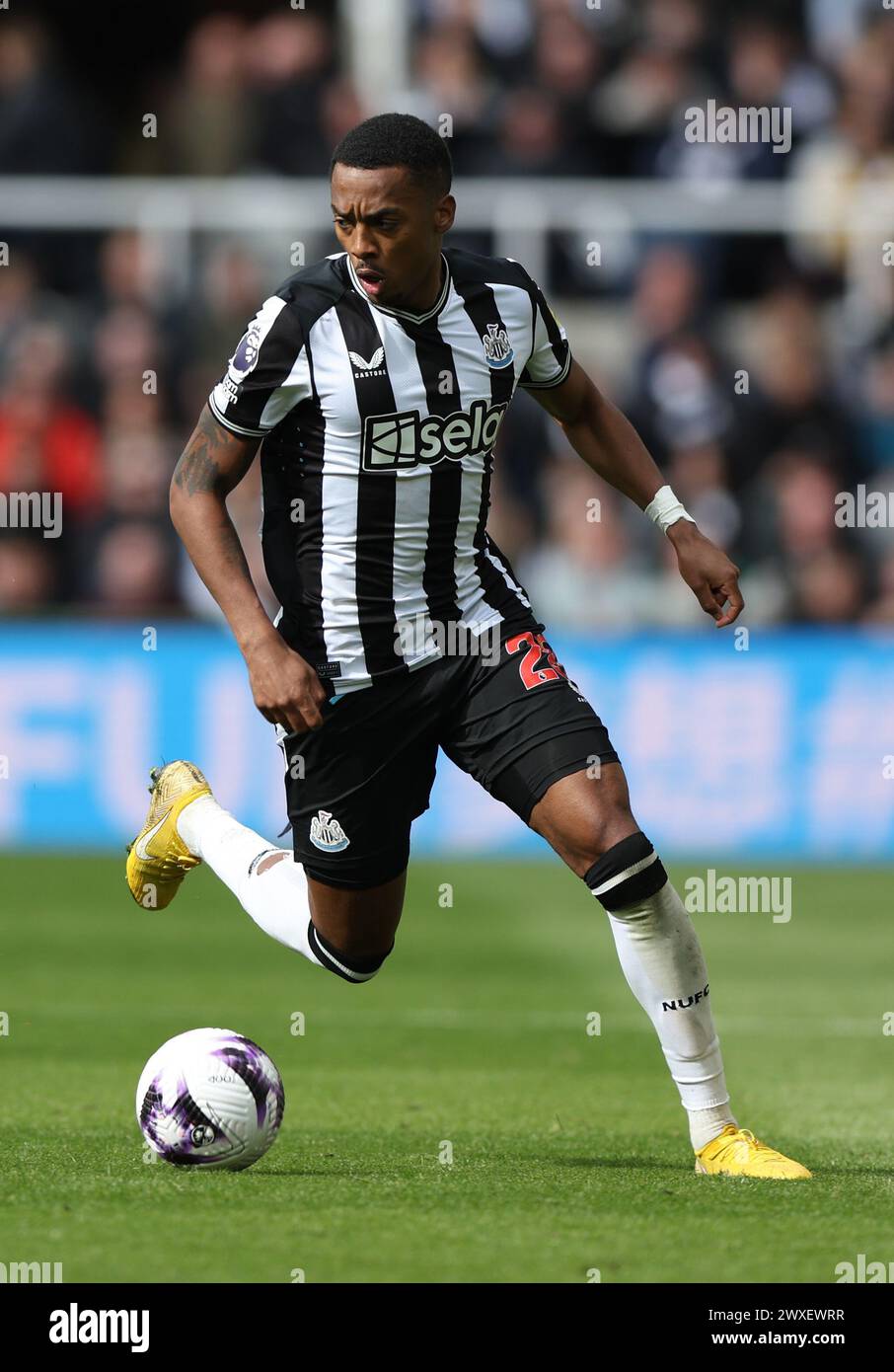 Newcastle Upon Tyne, UK. 30th Mar, 2024. Joe Willock of Newcastle ...