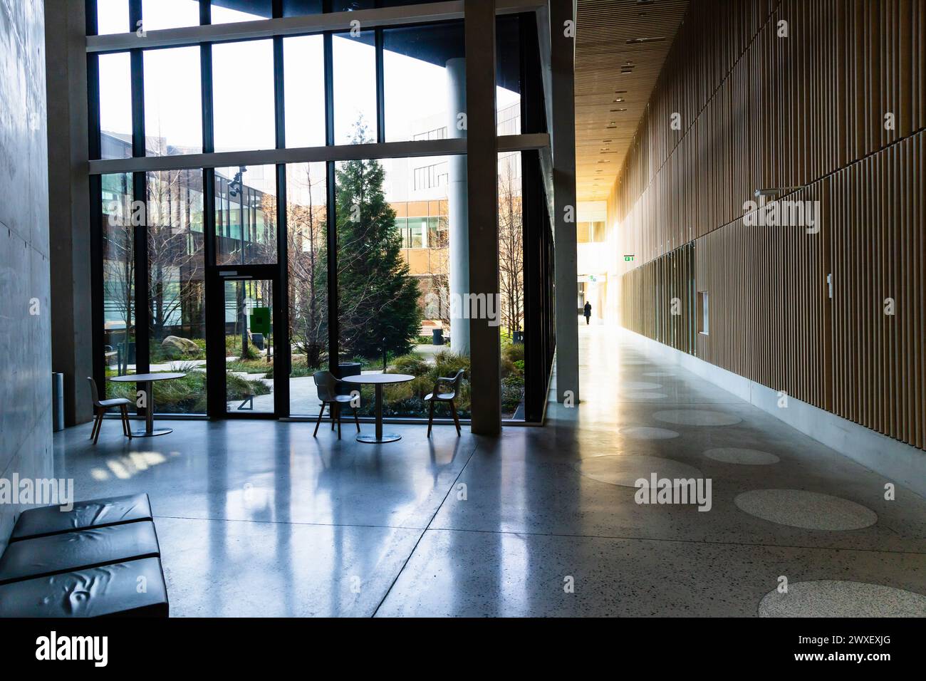Hall and corridor in a modern building with large glass windows and a ...