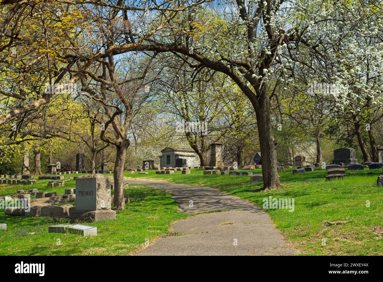 An asphalt footpath curves past old monuments and headstones in ...