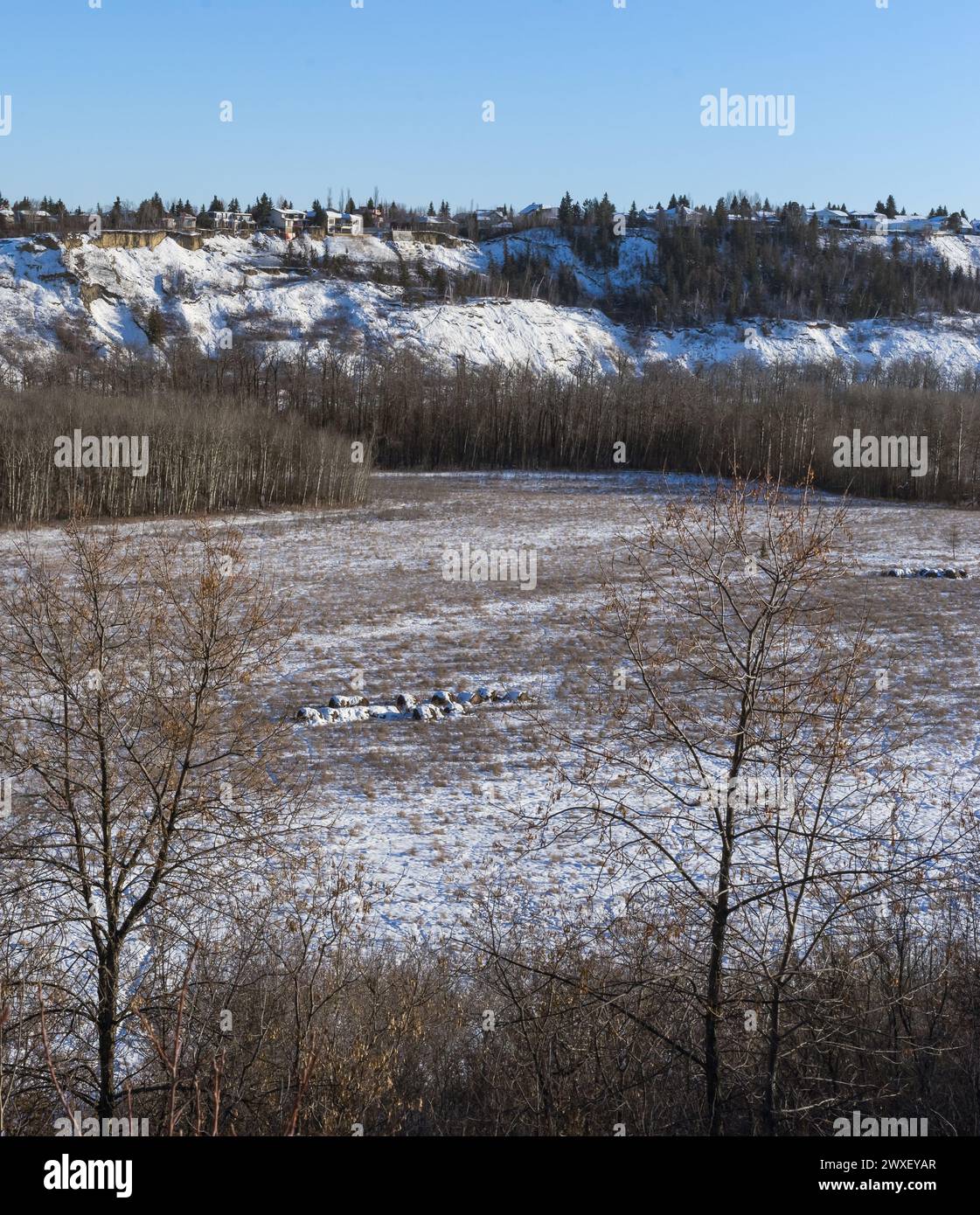 North Saskatchewan river valley field winter landscape with hay bales Stock Photo - Alamy