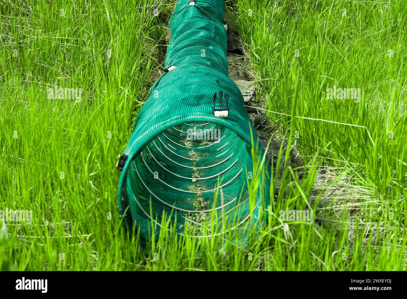 Sediment filter hi-res stock photography and images - Alamy