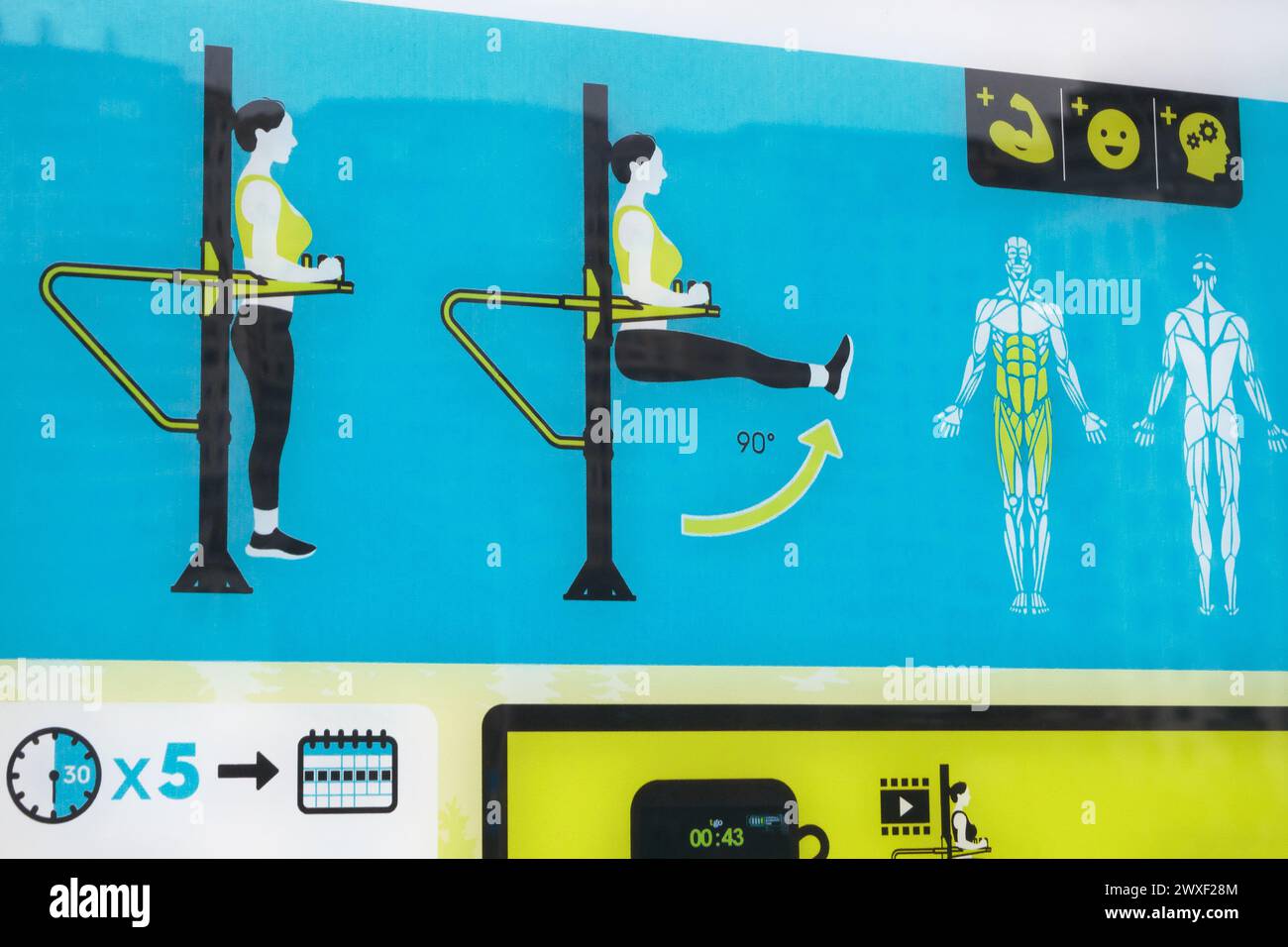 Close-up of a colorful infographic panel on workout equipment, showing ...