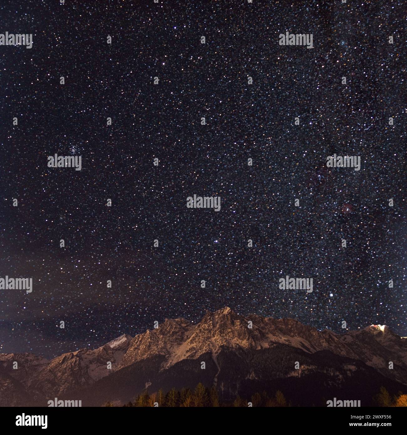 Starry night sky over the tree hi-res stock photography and images - Alamy