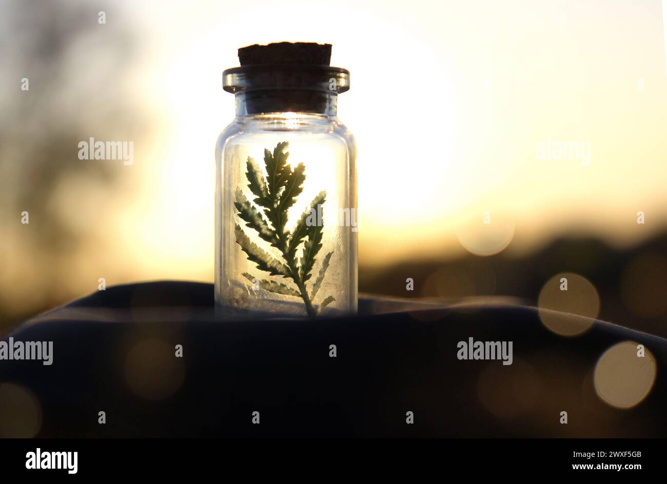 Bottle with Green Plant. Environmentally Friendly Concept. Earth Day ...