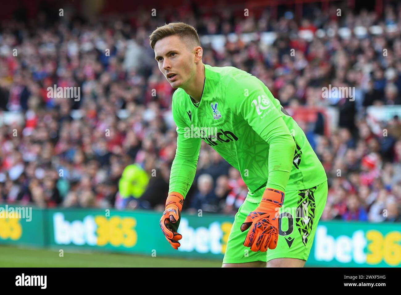 Dean Henderson, Crystal Palace goalkeeper during the Premier League ...
