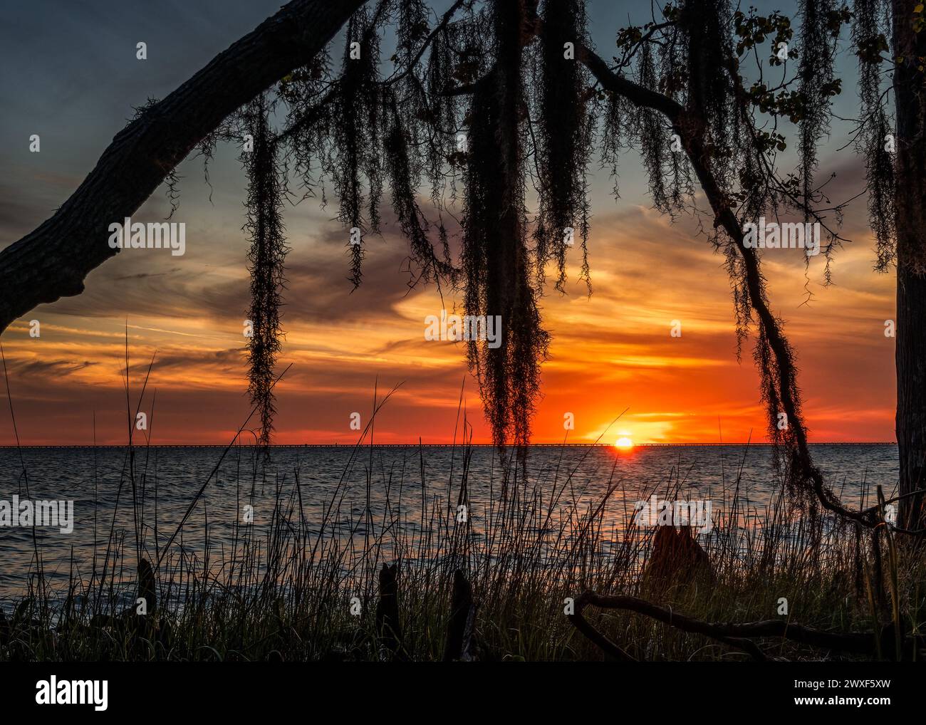 Louisiana mandeville hi-res stock photography and images - Alamy