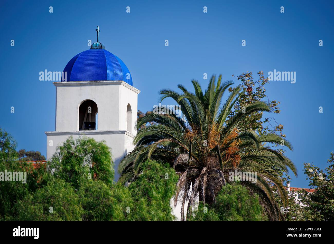 The dome of the Immaculate Conception Catholic Church surrounded by ...
